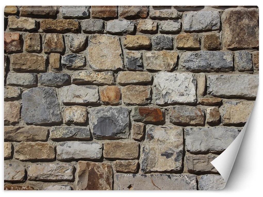 Gario Fototapeta Kameny na zdi Materiál: Vliesová, Rozměry: 200 x 140 cm