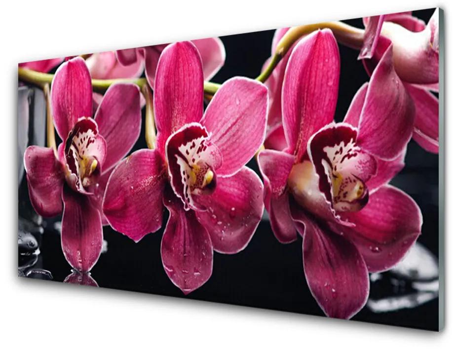 Obraz na skle Květiny Orchideje  Výhonky Příroda 120x60 cm