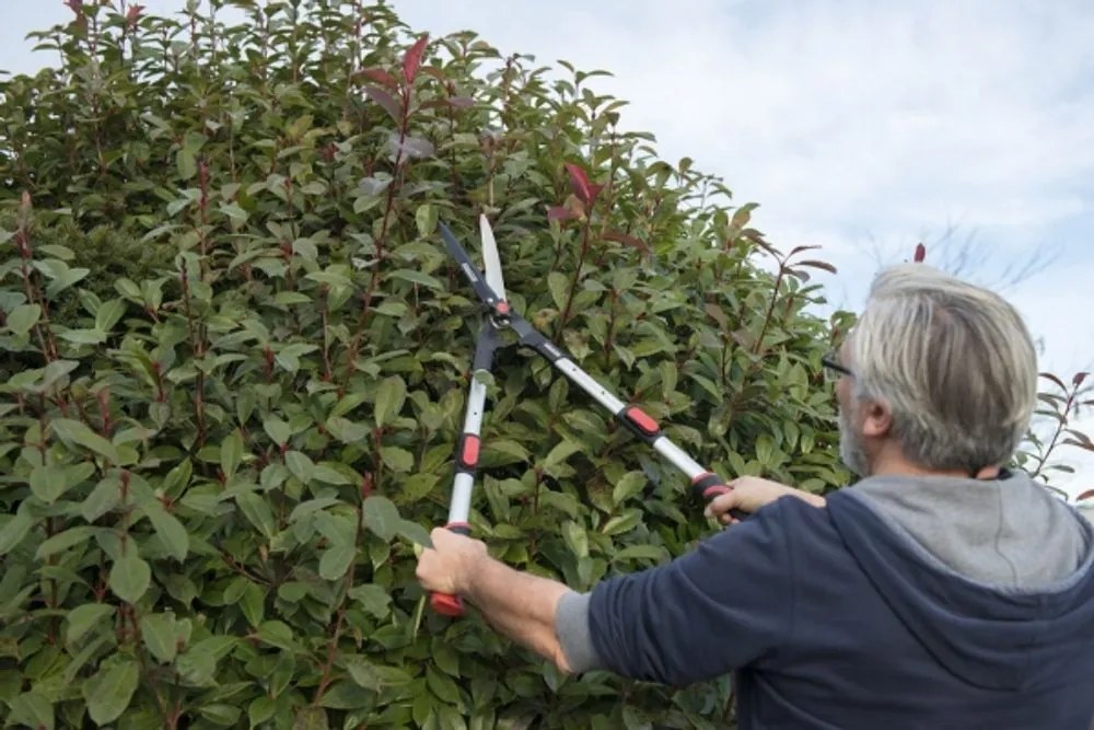 Nůžky na živý plot AL teleskopické KREATOR KRTGR3012