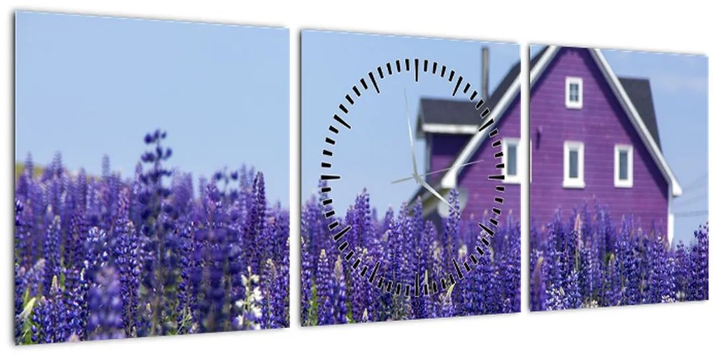 Obraz levandulového pole (s hodinami) (90x30 cm)