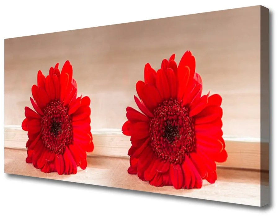 Obraz na plátně Květiny Rostlina 100x50cm