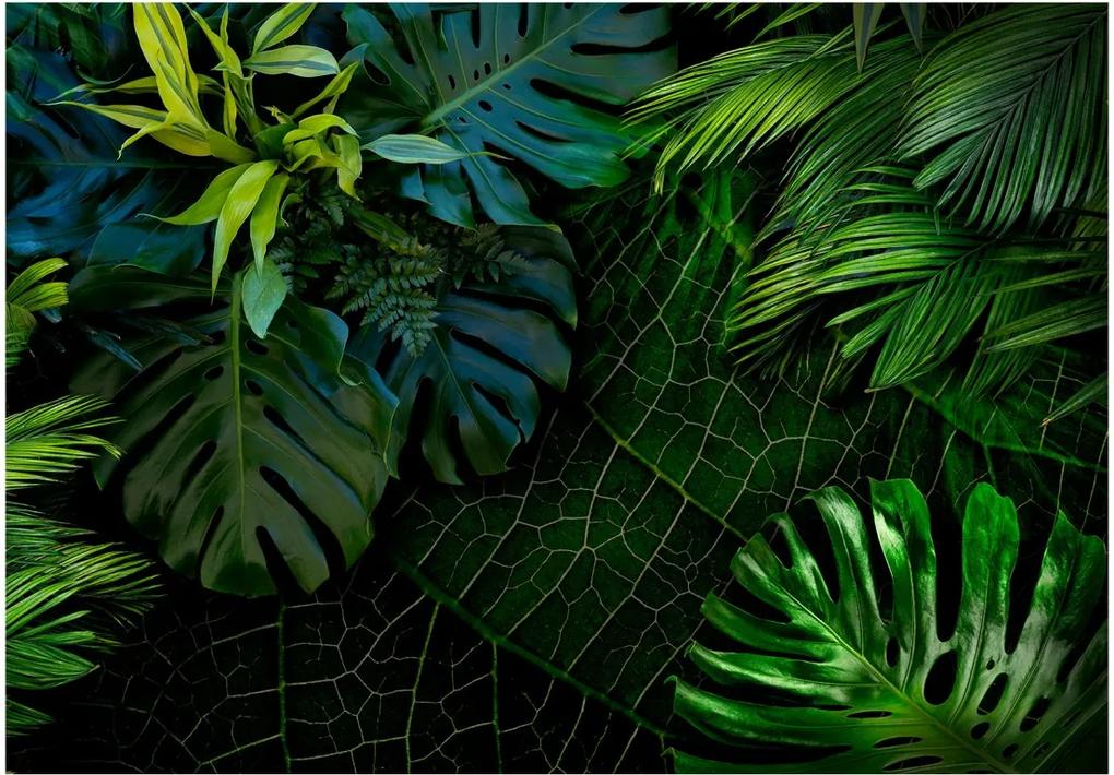 Tapeta džungle (350x256 cm) - Murando DeLuxe