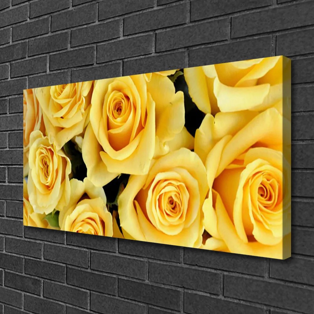 Obraz na plátně Růže Květiny Rostlina 125x50 cm
