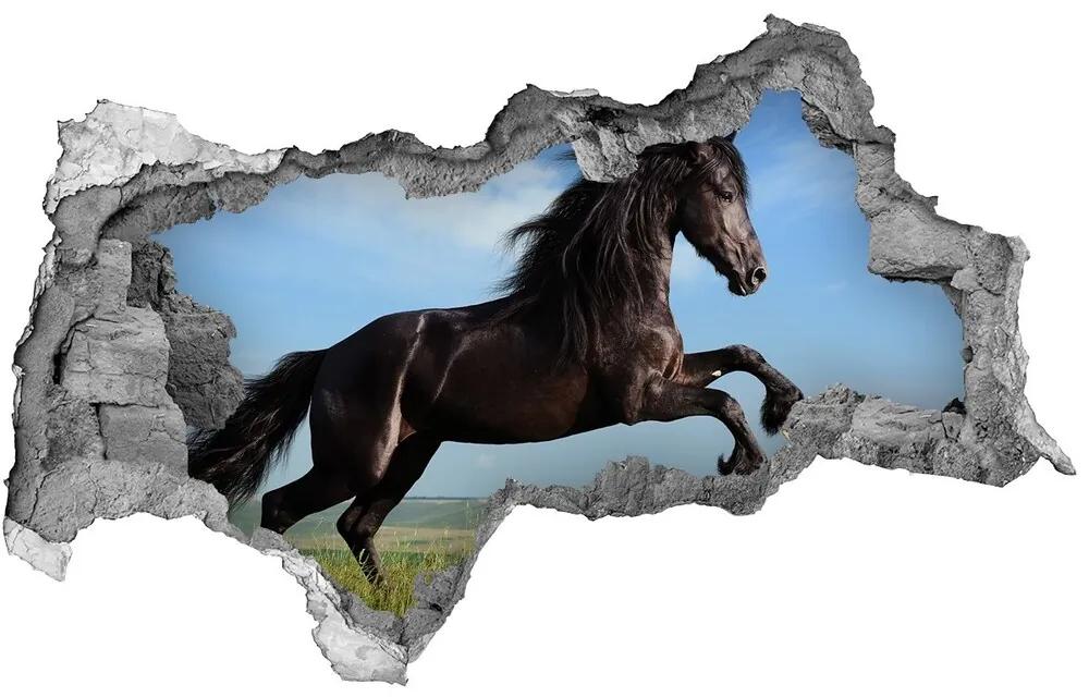 Wallmuralia Díra 3D fototapeta na stěnu Černý kůň na louce 95x73 cm