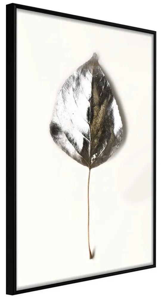 Plakát stříbrný list - Silvery Leaf