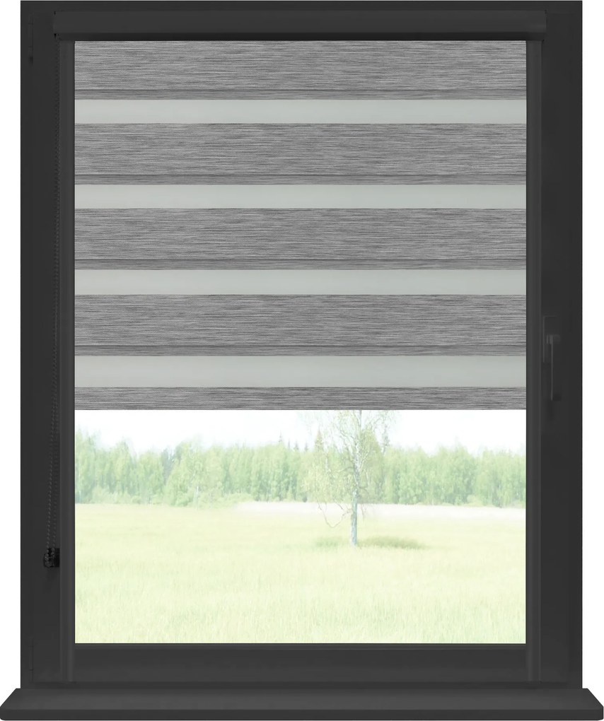 Dekodum Roleta den a noc v antracitové kazetě zatemňovací, barva látky Stříbrná Šířka (cm): 35, Výška (cm): Balkonová (do 200 cm), Strana mechanismu: Práva