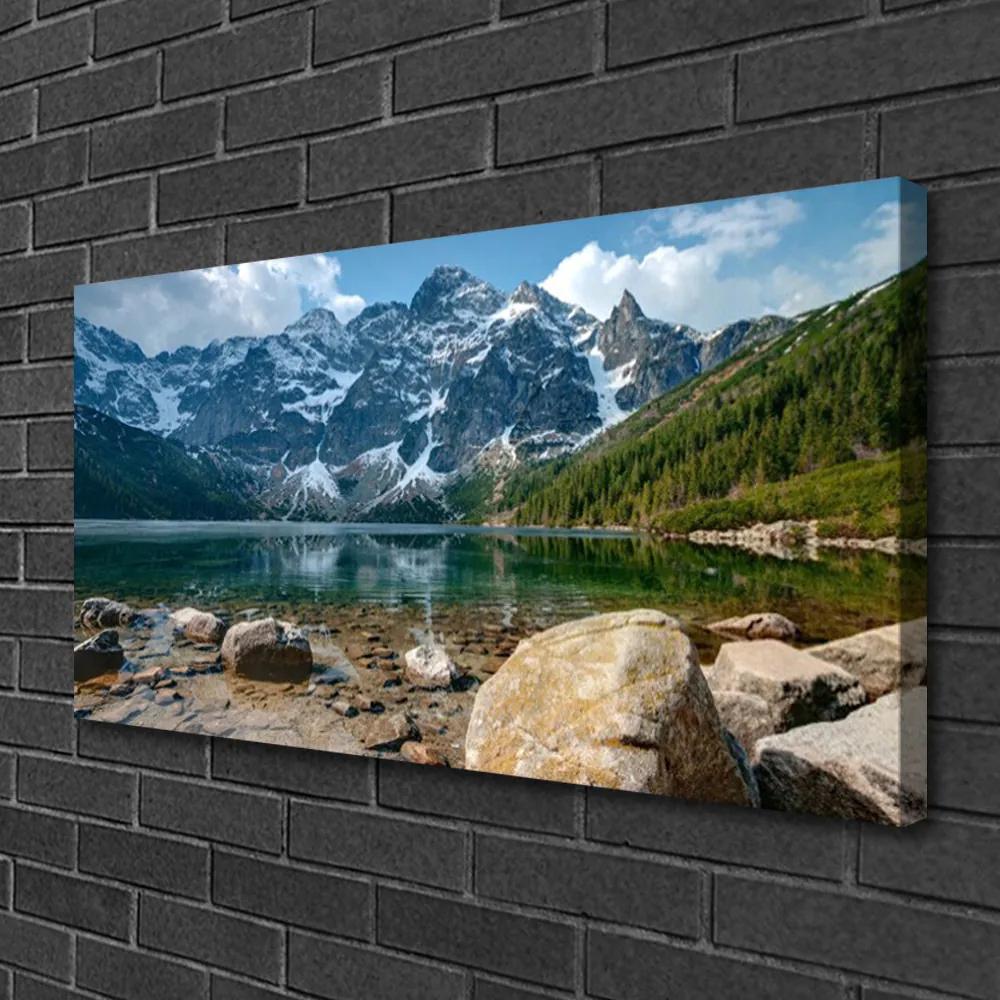 Obraz na plátně Hory Les Jezero Kameny 100x50 cm