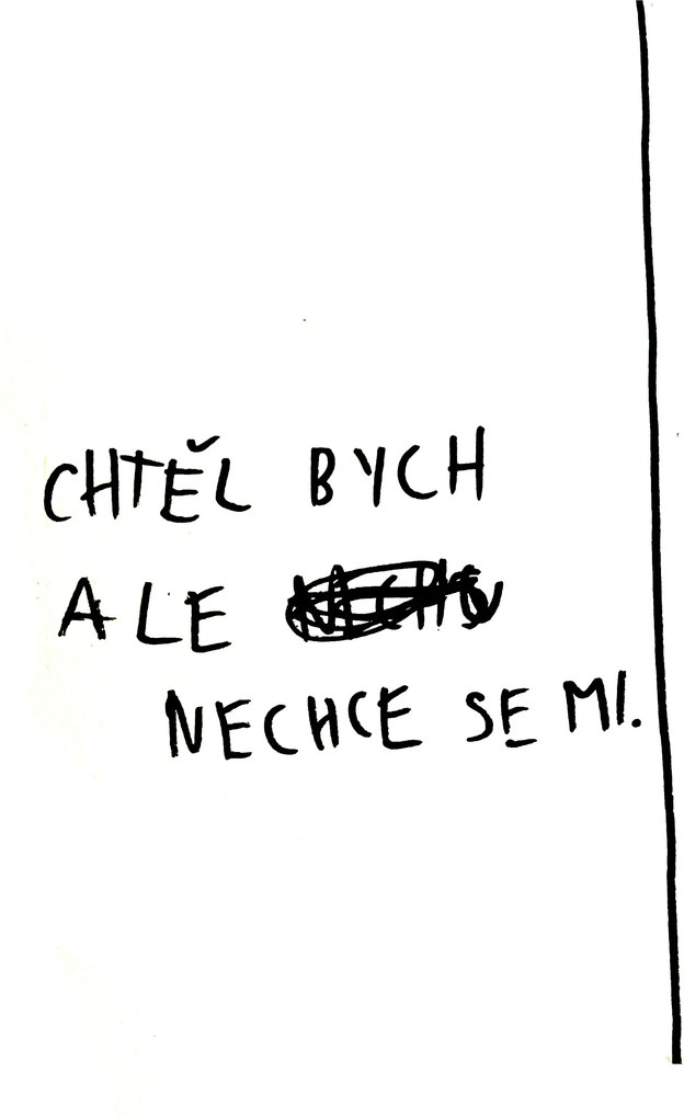 Honza Doležal / Zápisky umělce | Chtěl bych, ale nechce se mi Rám: Dubový, Velikost: 30 x 20 cm