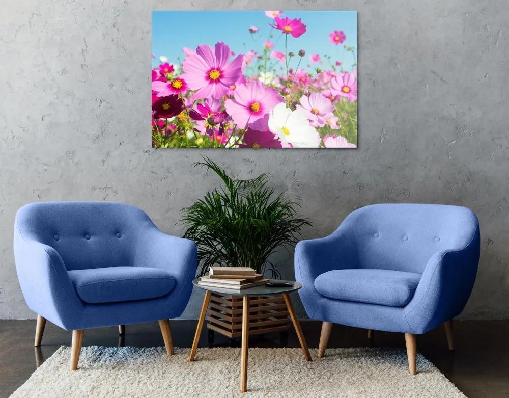 Obraz louka jarních květů - 120x80 cm
