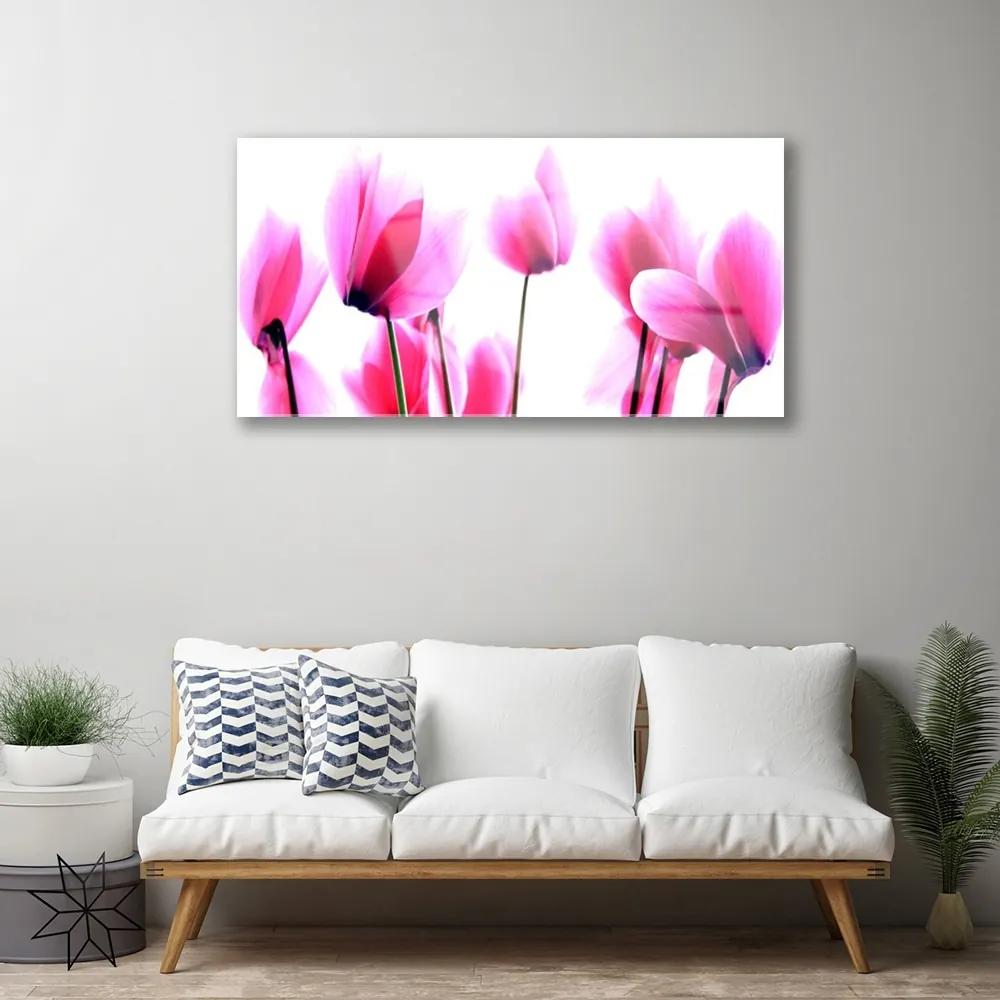 Obraz na skle Květíny Rostlina 120x60 cm