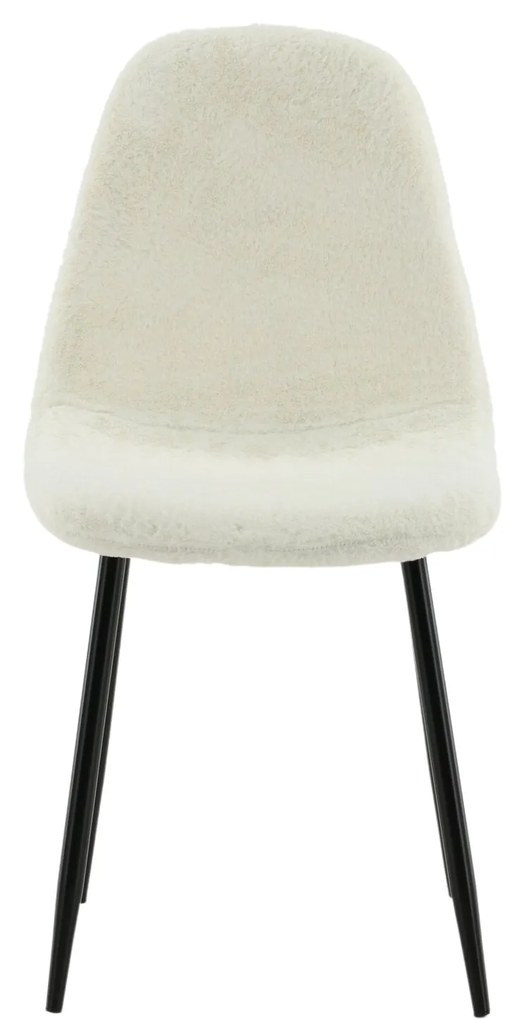 Jídelní židle Polar, 2ks, bílá, S44xD53xV87