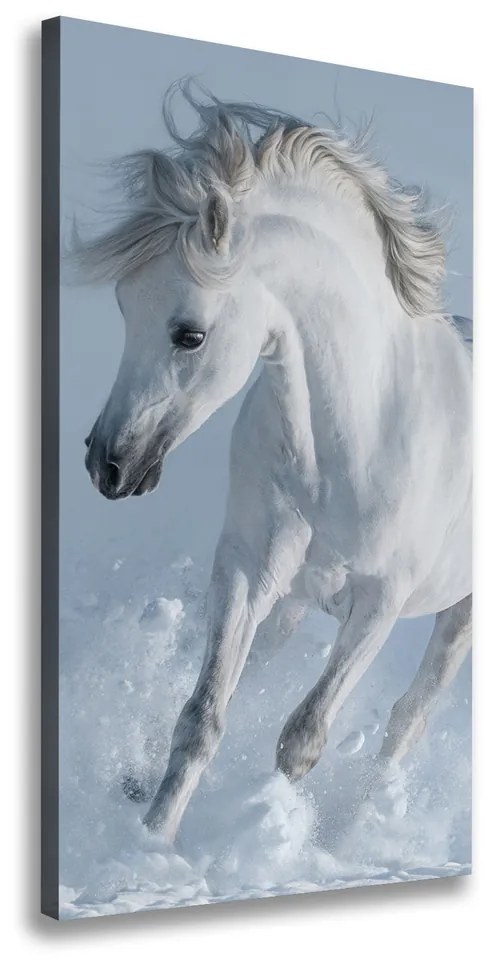 Wallmuralia Foto obraz na plátně Bílý kůň cval 50x100 cm