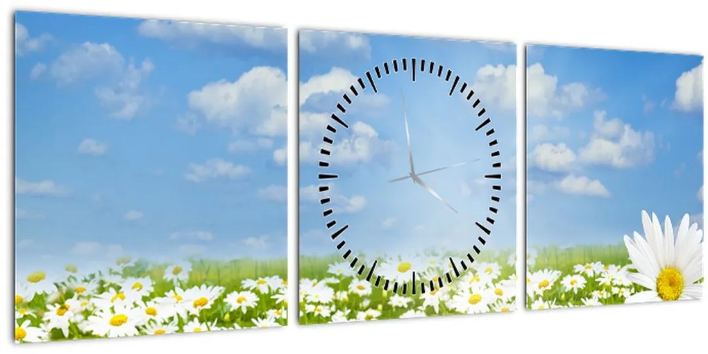 Obraz rozkvetlé louky s kopretinami (s hodinami) (90x30 cm)