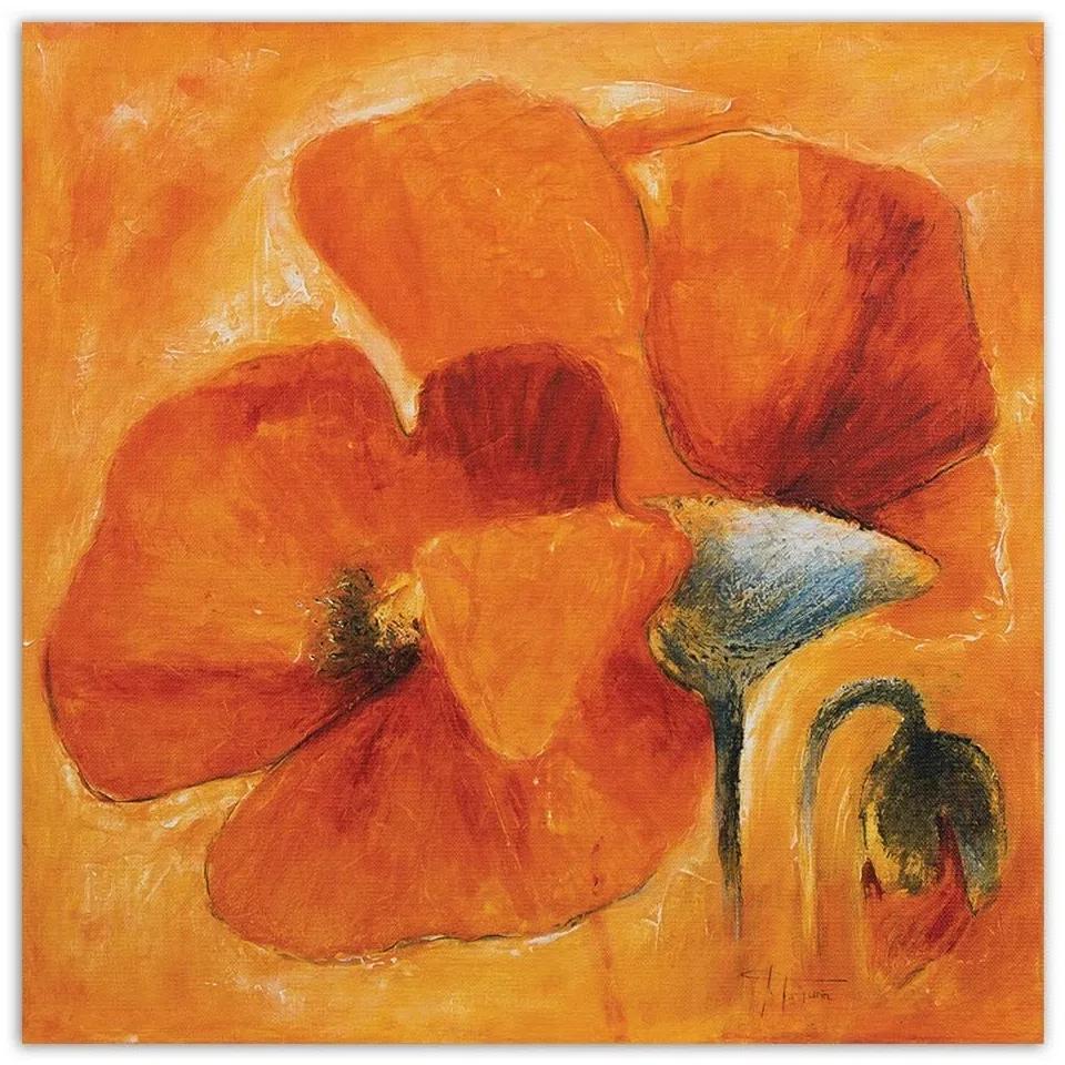 Obraz na plátně Květina Poppy Orange - 50x50 cm