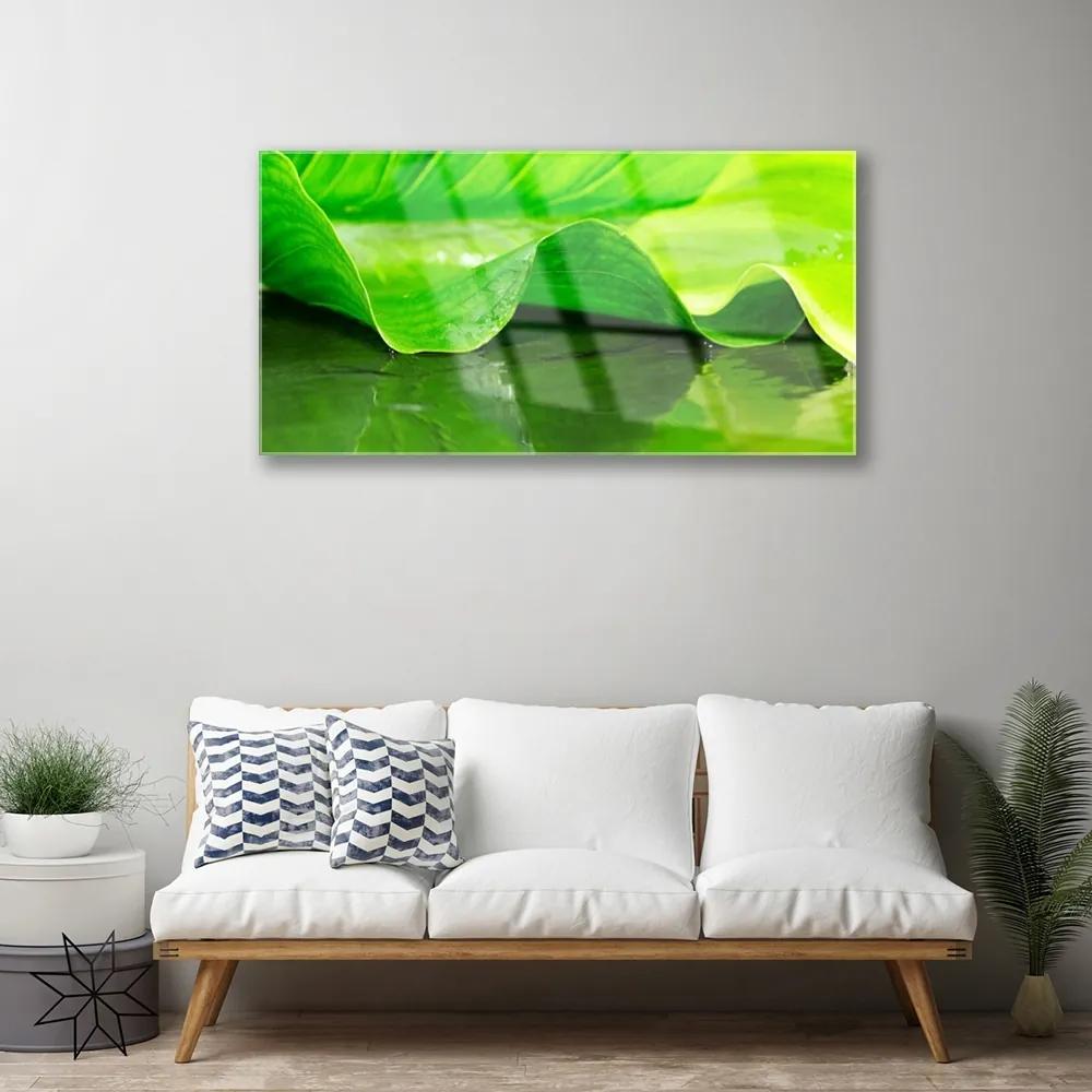 Obraz na skle Liść Roślina Natura 140x70 cm