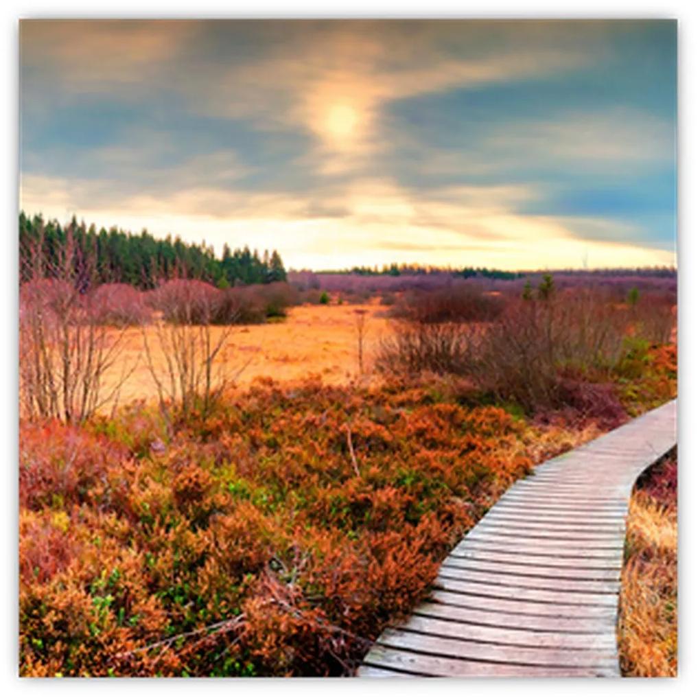 Obraz - Podzimní cesta krajinou (30x30 cm)