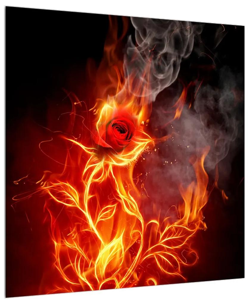 Obraz růže v ohni (50x50 cm)