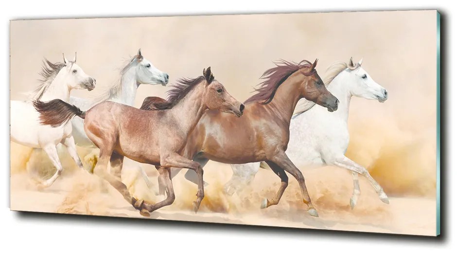 Wallmuralia Fotoobraz na skle Koně ve cvalu 125x50 cm
