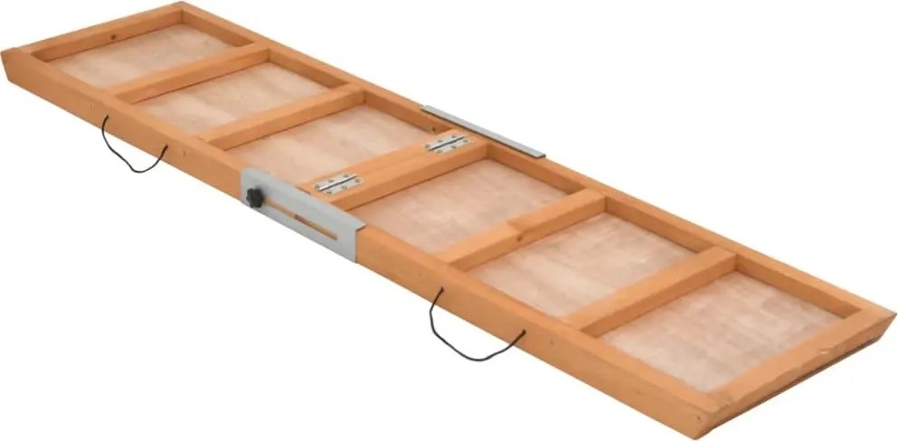 vidaXL Rampa pro psy 120 x 30 cm masivní jedlové dřevo [172419] Barva: Šedá