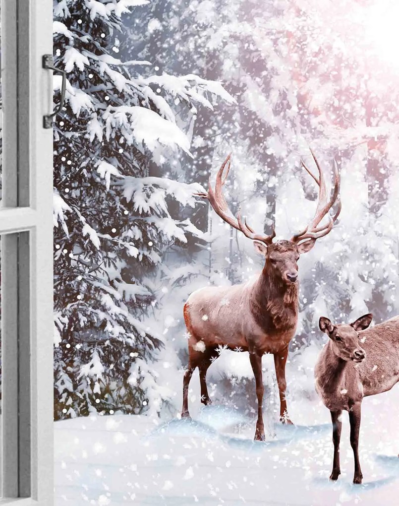 3D obraz okno jeleni Velikost (šířka x výška): 60x40 cm