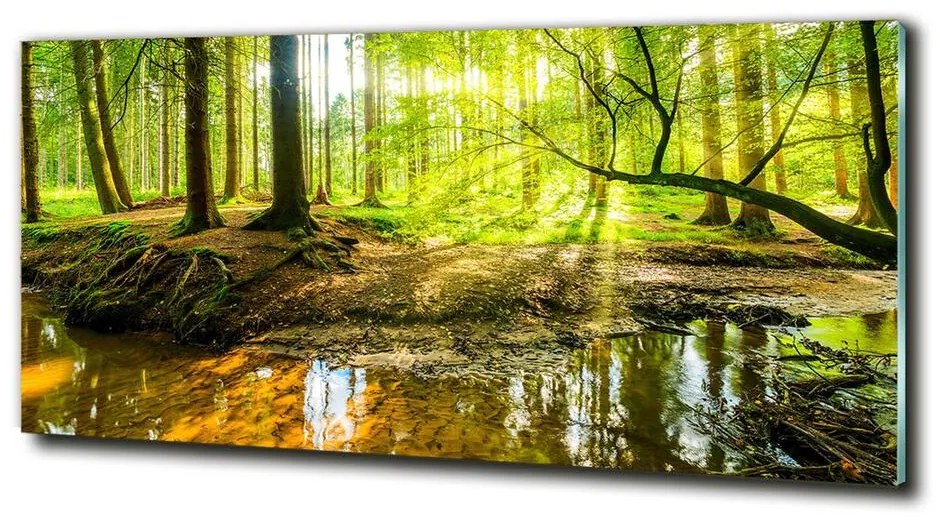 Wallmuralia Foto obraz sklo tvrzené Rybník v lese 125x50 cm