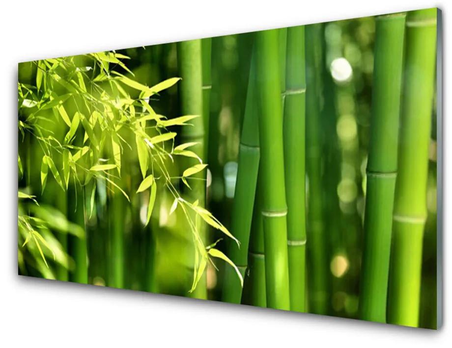 akrylový obraz Bambus Listy Rostlina 140x70 cm
