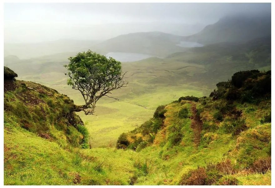 Fototapeta Isle of Skye Skotsko 104x70