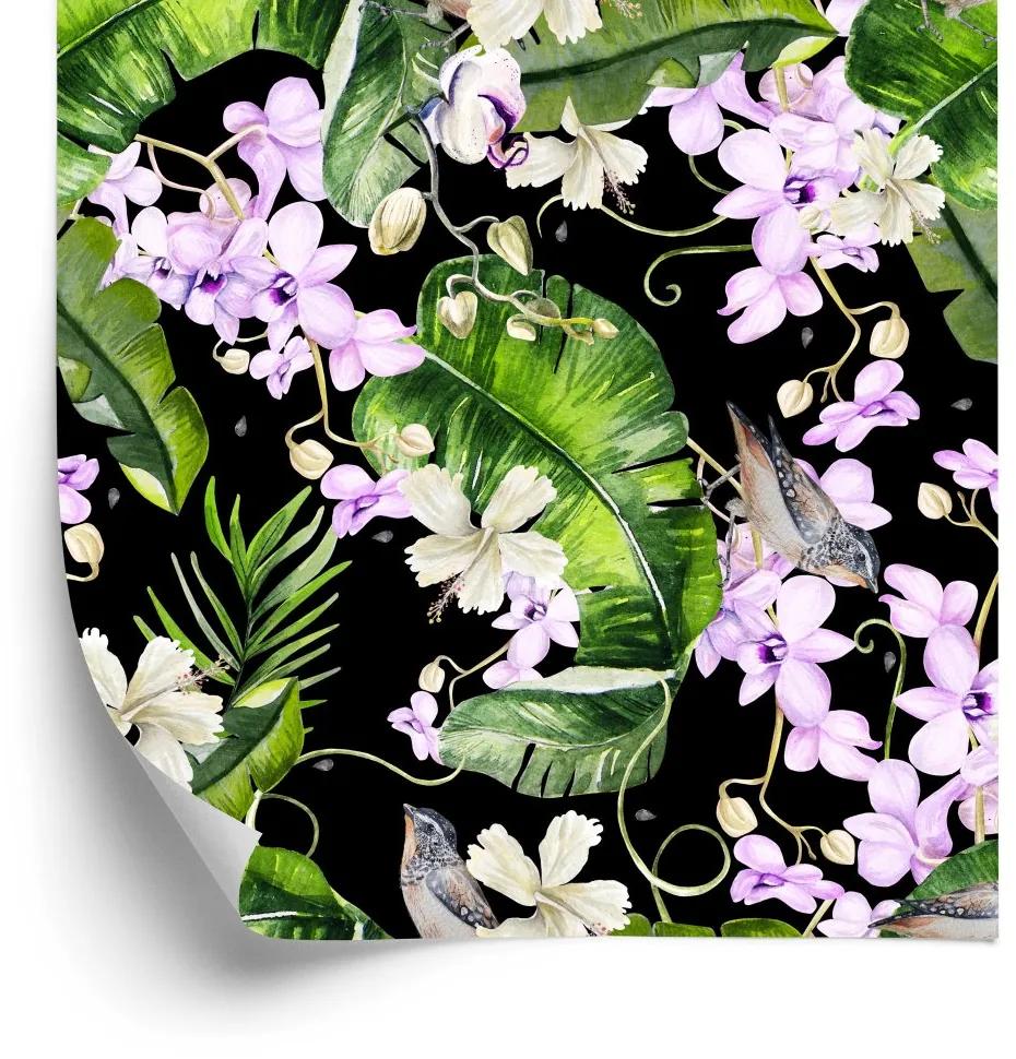 Tapeta Na Zeď Pro Obývací Pokoj Orchideje Příroda Květiny Rostliny Vliesová tapeta 53x1000