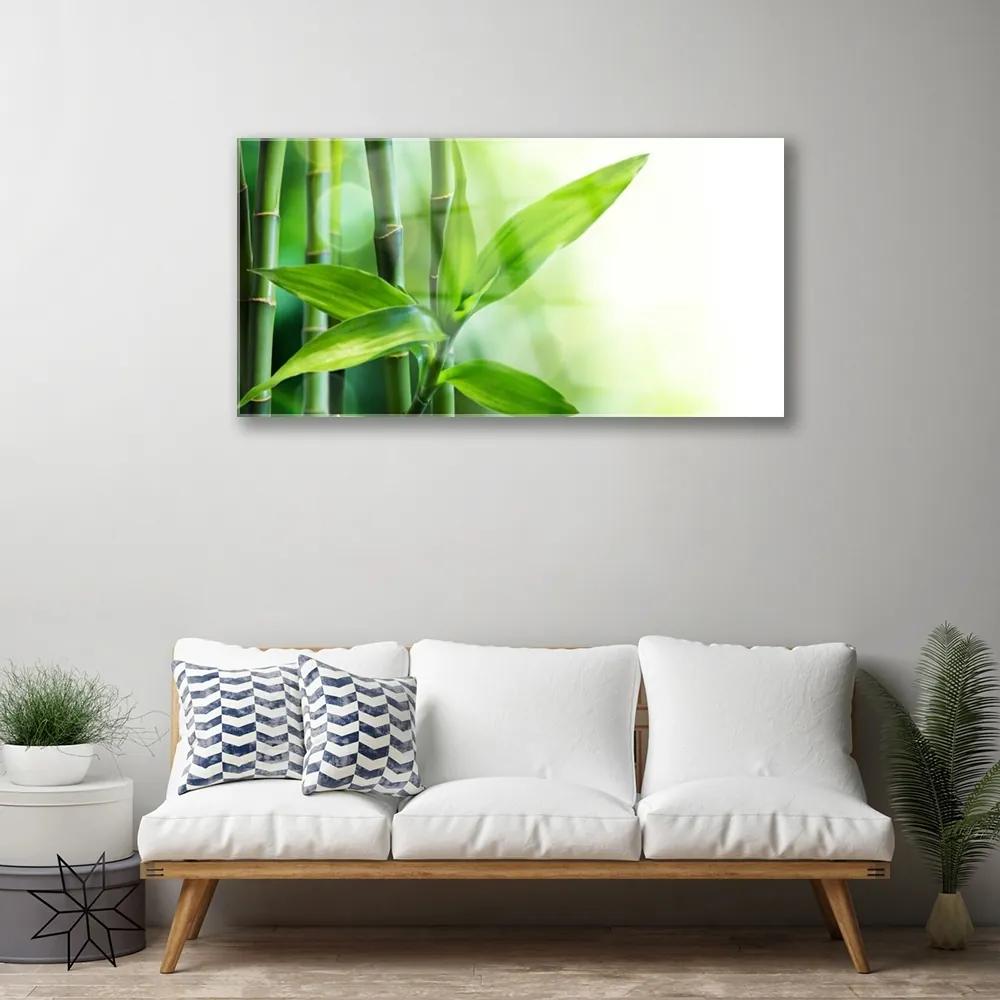 akrylový obraz Bambus List Rostlina Příroda 100x50 cm