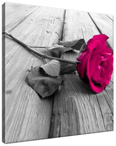 Tištěný obraz Rozkvetlá růže na molu 30x30cm 1856A_1AI