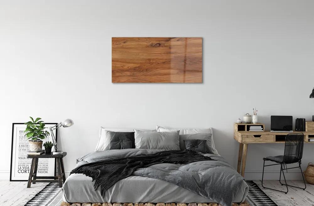 akrylový obraz Dřevo uzlů obilí 100x50 cm