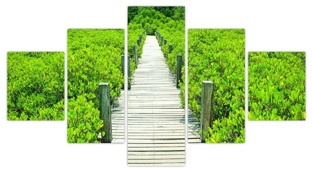 Obraz - dřevěný chodník (125x70 cm)