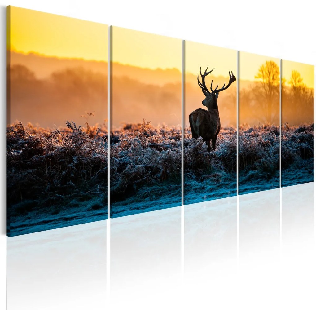 *Pětidílný obraz - jelen v krajině (200x80 cm) - Murando DeLuxe