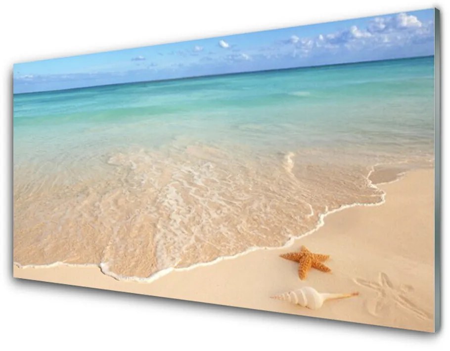 Obraz na skle Pláž Hvězdice Krajina 100x50 cm