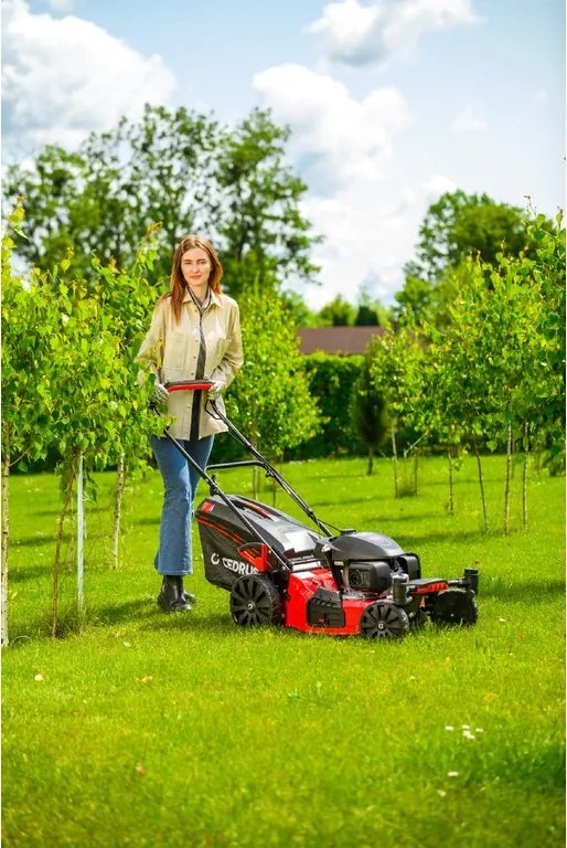 Hahn & Sohn Cedrus Benzínová sekačka KS51S-ZT s pojezdem otočná přední kola HP161050