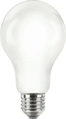 ZAR. LED CLASS 120W A67 E27 CW FR ND
