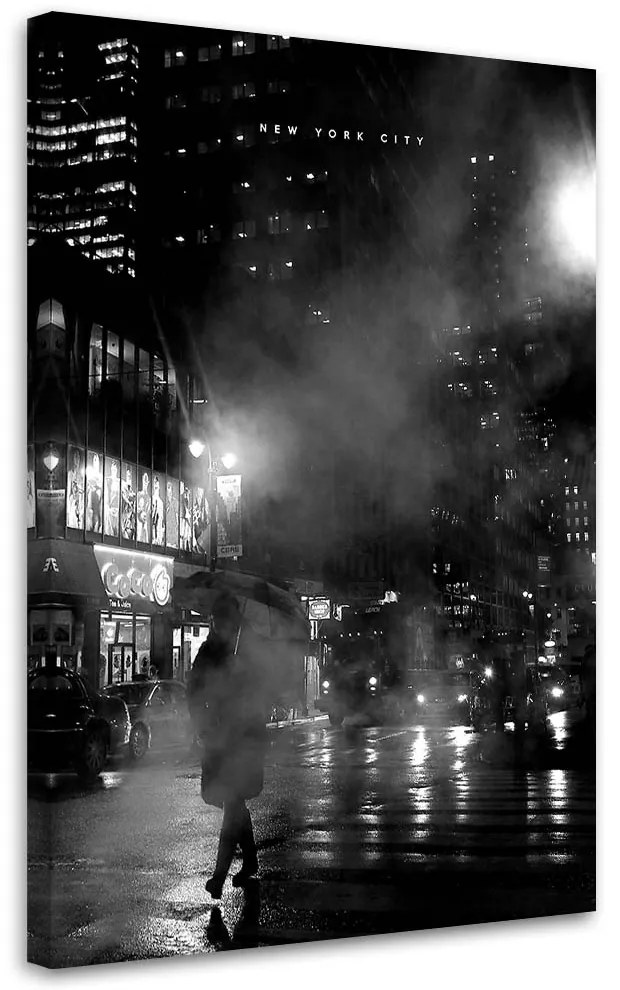 Gario Obraz na plátně New York v mlze - Nikita Abakumov Rozměry: 40 x 60 cm