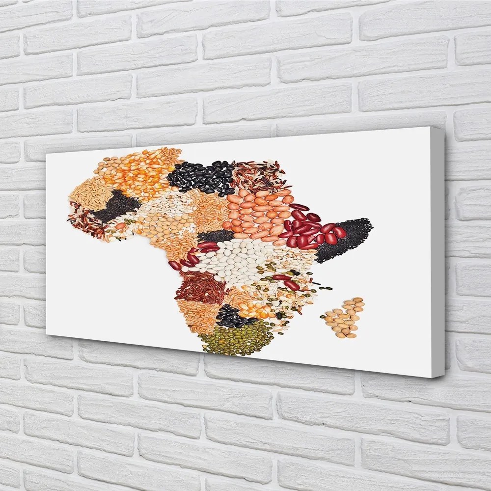 Obrazy na plátně mapa koření 140x70 cm