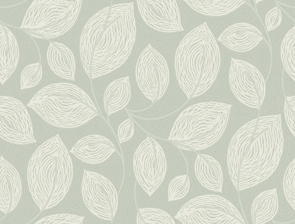 Zeleno-bílá vliesová tapeta na zeď, listy, EV3921, Candice Olson Casual Elegance, York