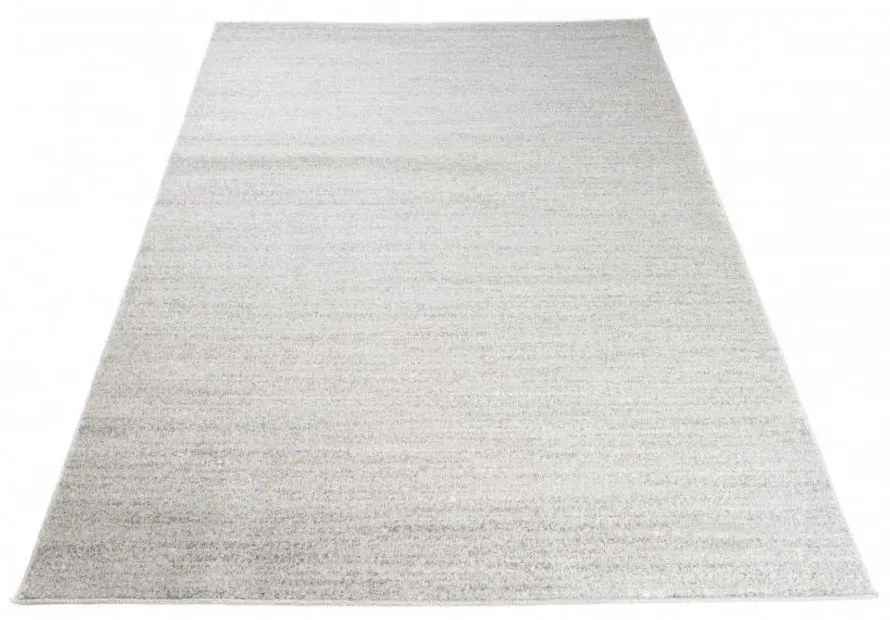 Kusový koberec Remon světle šedý 120x170cm