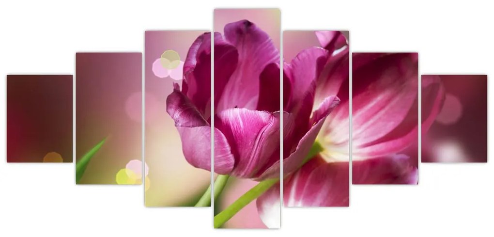 Obraz růžových tulipánů (210x100 cm)