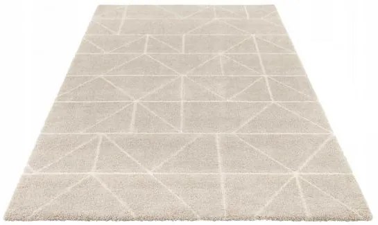 Kusový koberec SHAGGY XSH-46 160x230cm