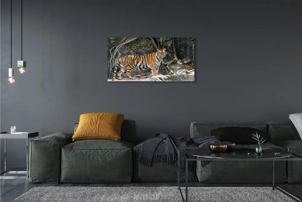 Obrazy na plátně tygr džungle 100x50 cm