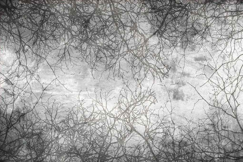 DIMEX | Samolepicí vliesová fototapeta na zeď Abstrakt větve MA-5-0386 | 375 x 250 cm | černá, šedá