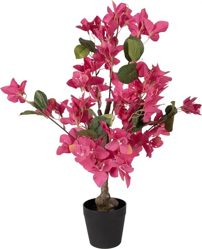 Stromek s růžovými květy Bougainvillea Tree - 25*25*60 cm