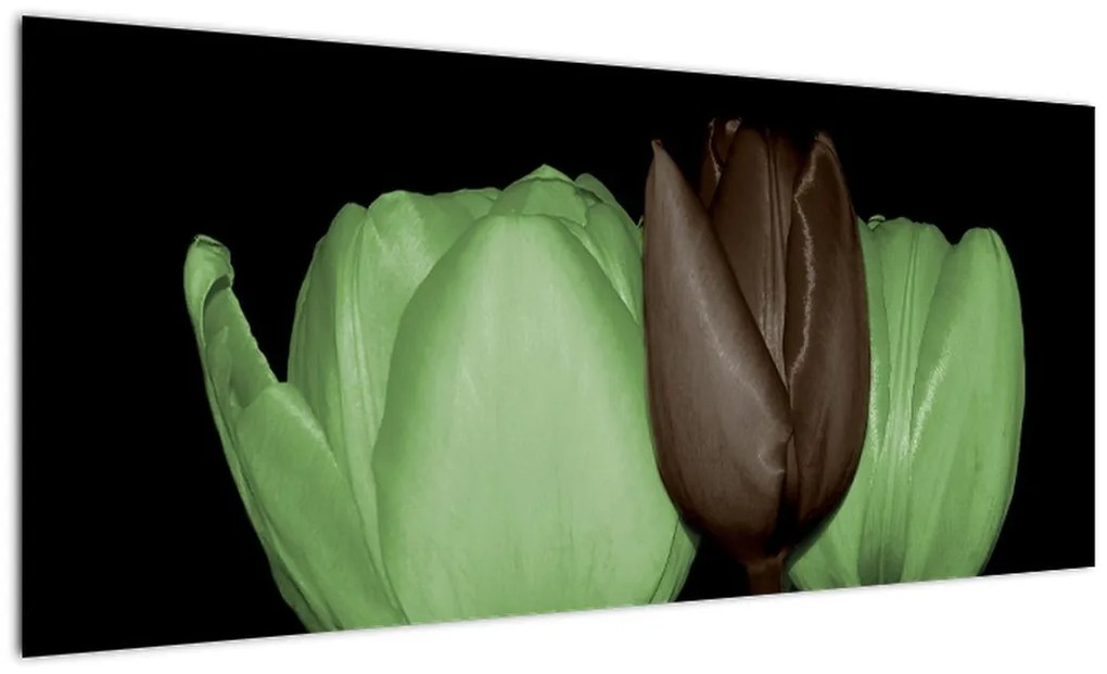 Obraz tulipánů (100x40cm)