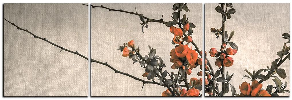 Obraz na plátně - Zátiší kytice - panoráma 5996QC (150x50 cm)