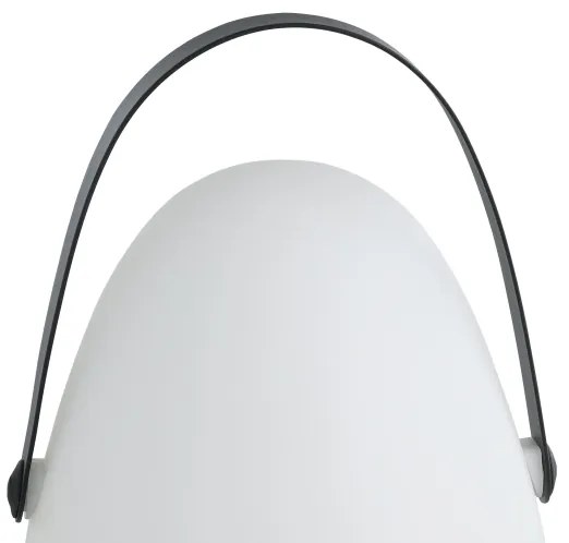 Eglo 48841 - LED Venkovní stolní lampa COLLIRADOS LED/3xAA IP44