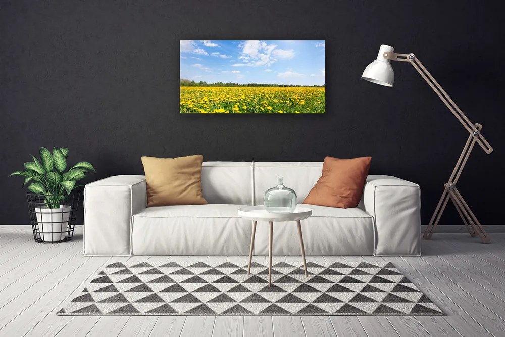 Obraz na plátně Pampeliška Krajina 100x50 cm