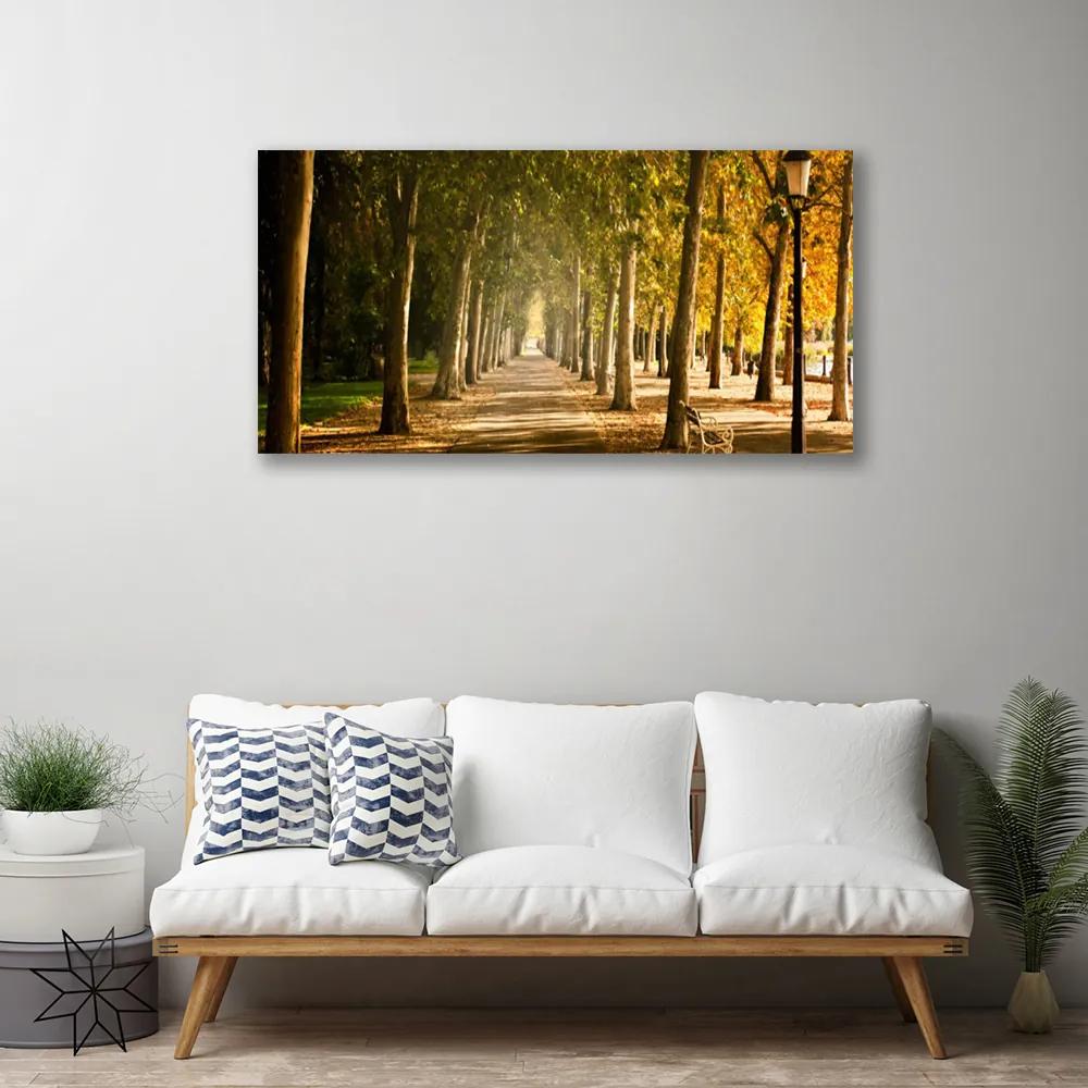 Obraz na plátně Park Alej Krajina 125x50 cm